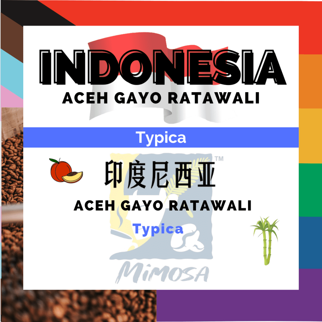15. Single Origin, Indonesia Aceh Gayo Ratawali / 印度尼西亚 亚齐 Gayo 日晒 手冲咖啡 ...